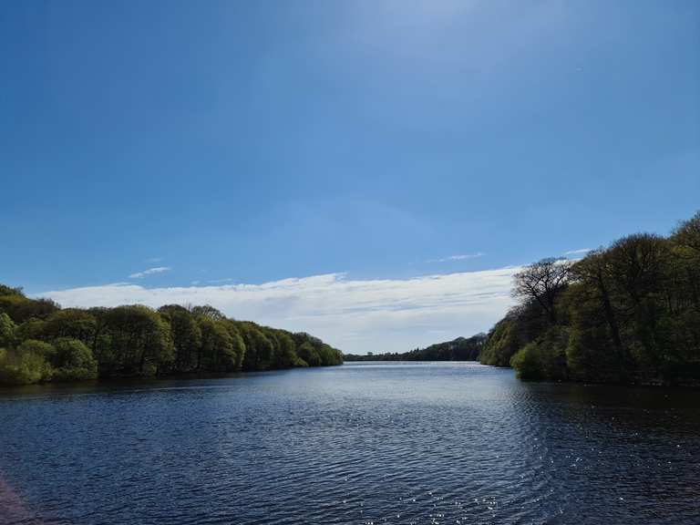 Anglezark Climb wiellerroutes en kaart | Komoot