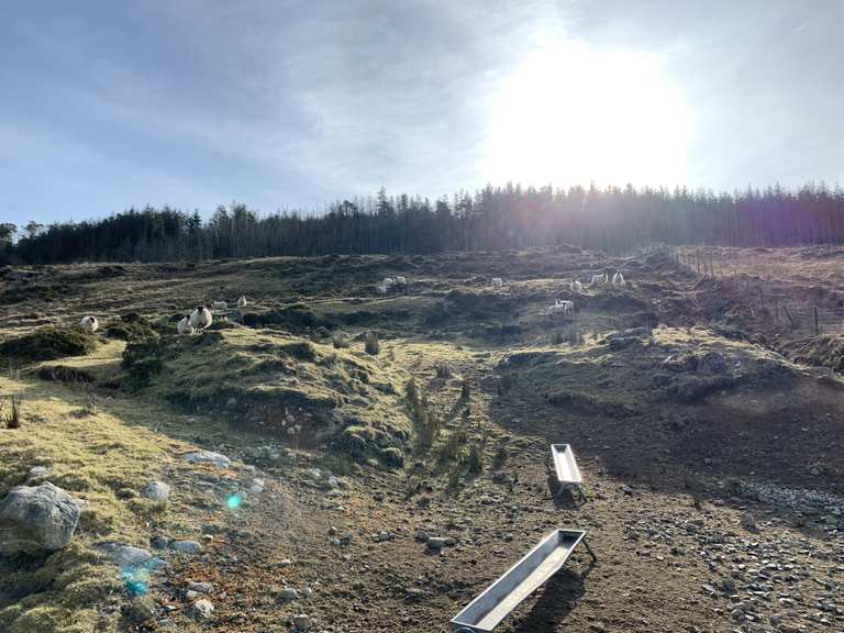 Boucle Warrenpoint Shore Road – The Fairy Glen au départ de ...