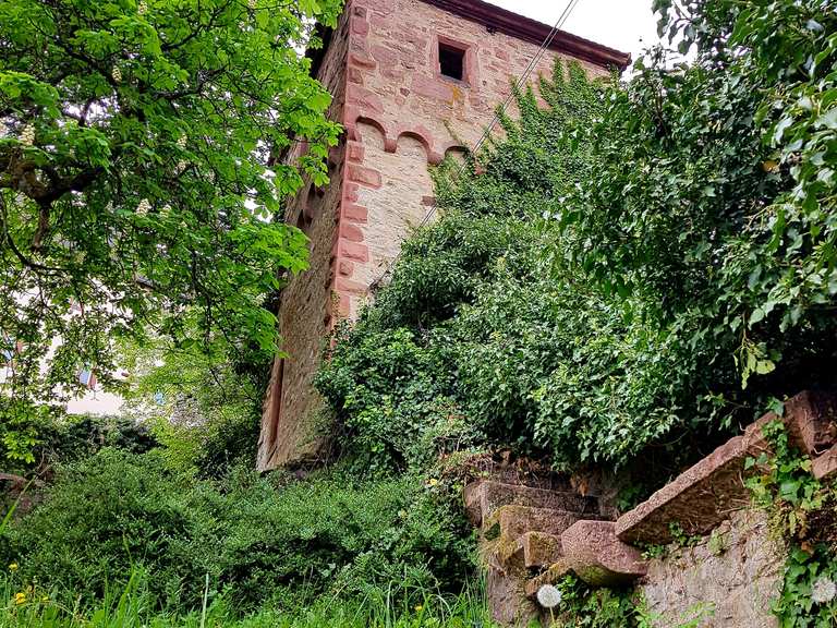 Burg Neidenstein Routes for Walking and Hiking | Komoot