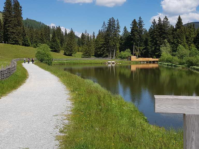 Teichalmsee: Wanderungen und Rundwege | komoot