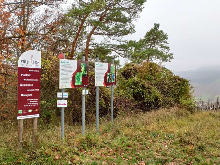 Rifugio nei vigneti del Walthertal con vista: percorsi e itinerari MTB ...
