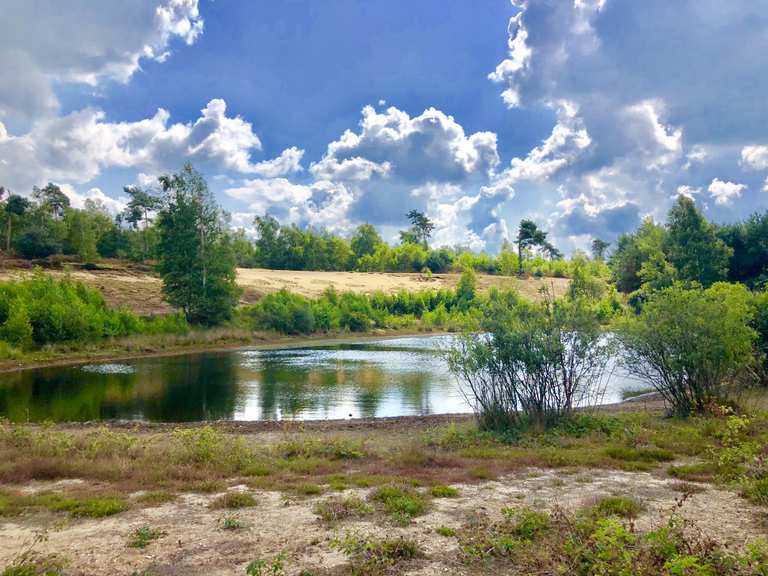 Maasduinen Reindersmeer Routes for Walking and Hiking | Komoot