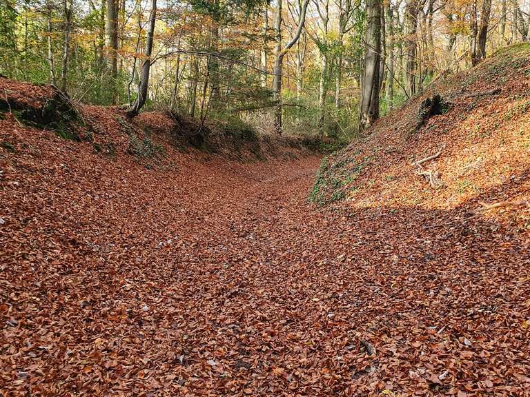 Sunken Bridleway Descent in The Cotswolds Mountain Bike Trails & Tracks ...