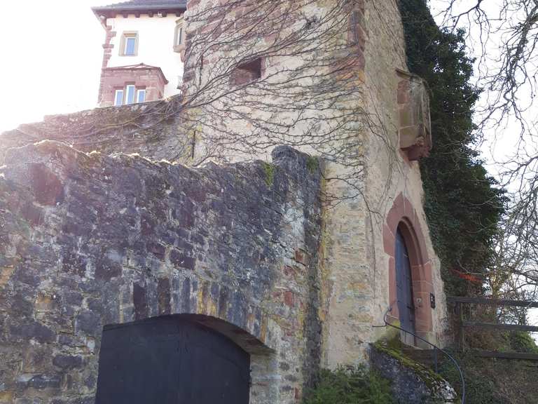 Burg Neidenstein Routes for Walking and Hiking | Komoot