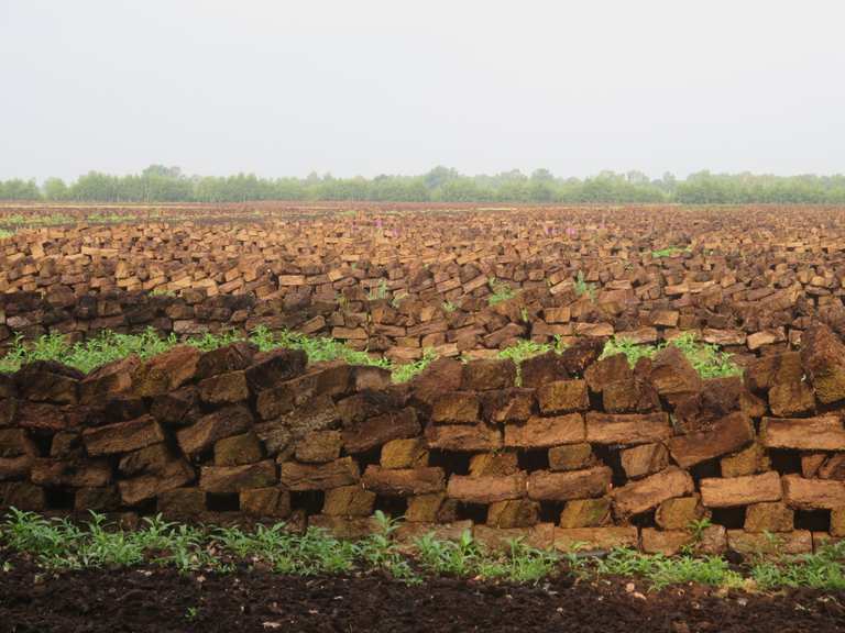 Torfabbau Campemoor: Radtouren und Radwege | komoot