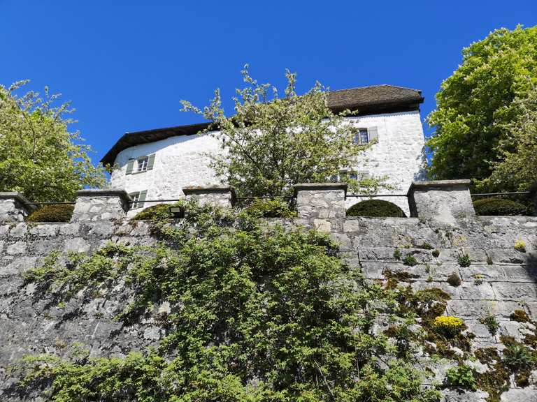 Schloss Brunegg: Mountainbike-Touren und -Trails | komoot