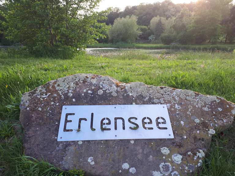 Erlensee: Wanderungen und Rundwege | komoot
