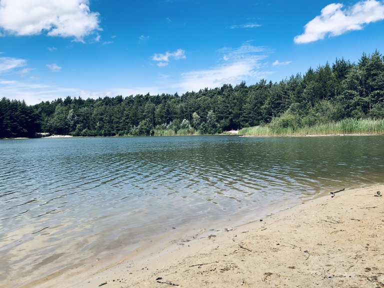 Meer Natuurgebied Rode Beek-Heringsbosch wandelroutes en hikes | Komoot