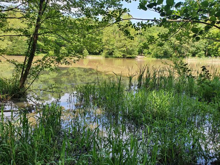 Annasee Routes for Walking and Hiking | Komoot