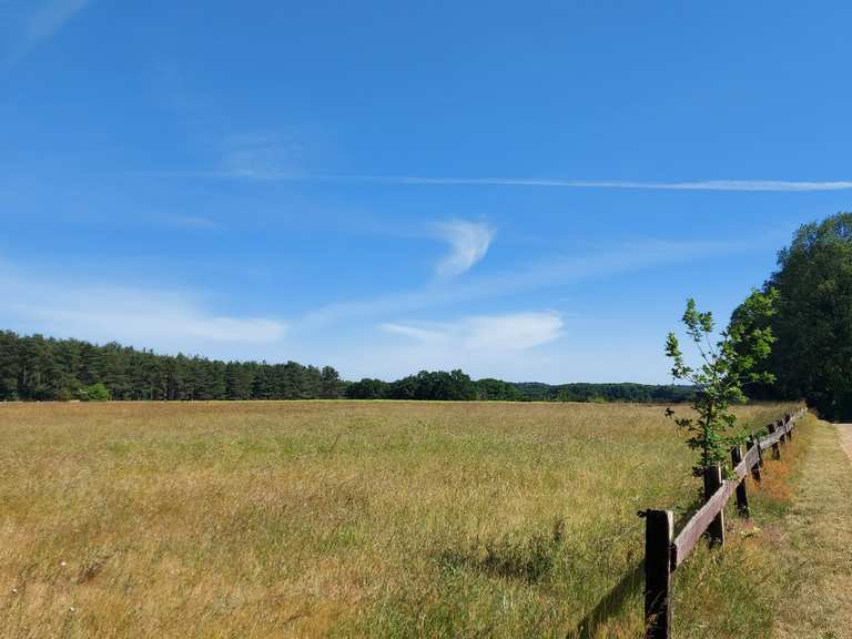 Ardense zichten in het Hageland - Itinéraires de rando et marche | Komoot