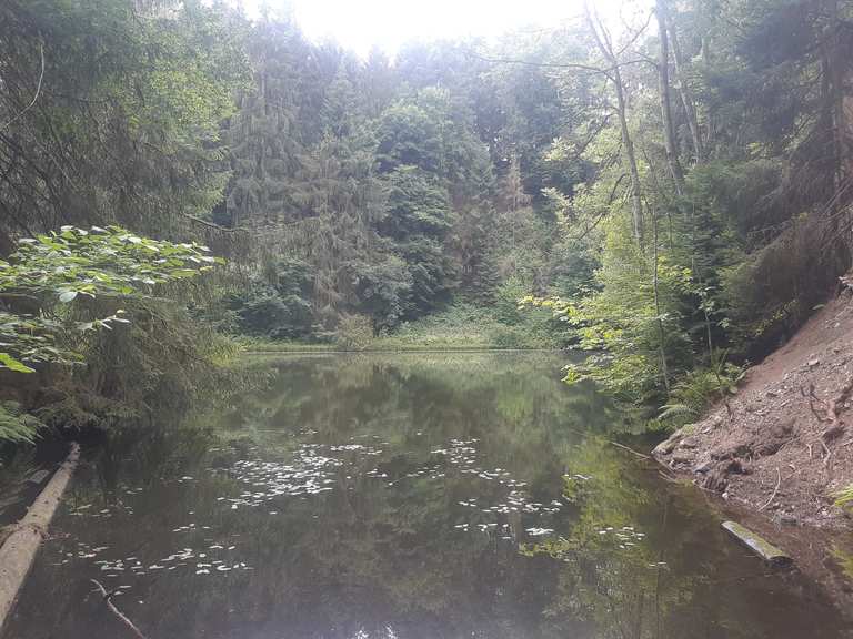 Der Rote See ( Eingang ): Mountainbike-Touren und -Trails | komoot