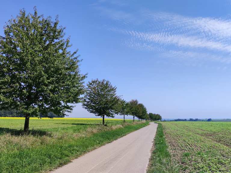 Alter Postweg - Asphaltstück : Radtouren und Radwege | komoot