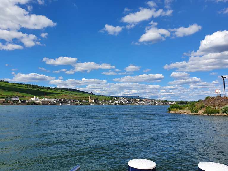 Biebricher Ufer & Castle – Rhine riverside path loop from Mainz-Kastel ...