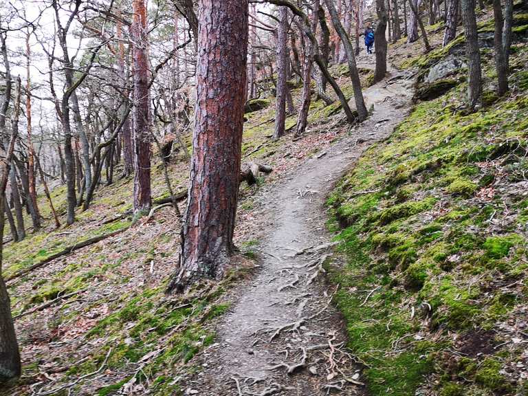 Krausbergturm – Bergpfad vom/zum Krausberg Runde von Dernau | Wanderung ...