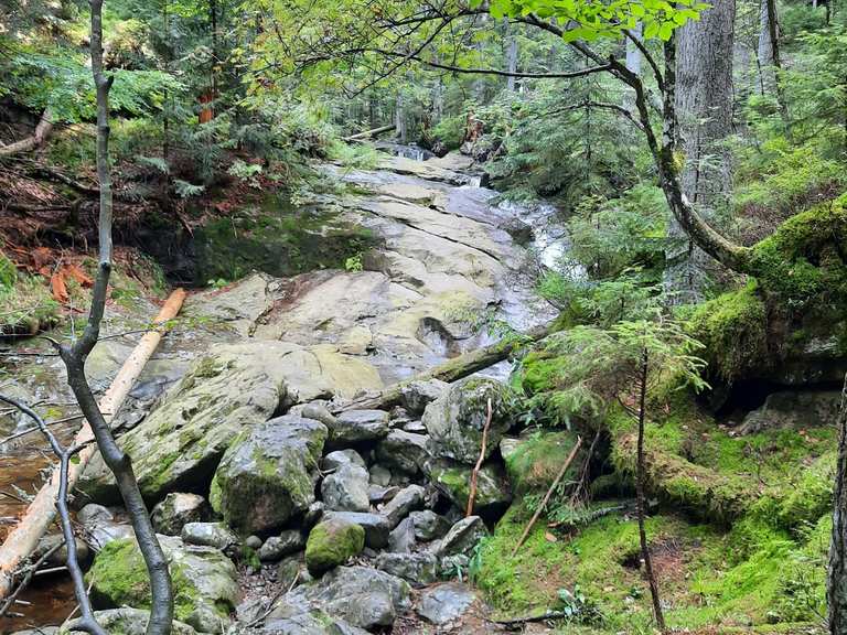 Riesbach in der Rißlochschlucht: Wanderungen und Rundwege | komoot