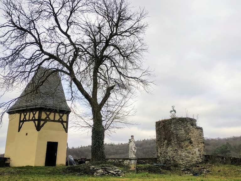 Schloss Kransberg Routes for Walking and Hiking | Komoot