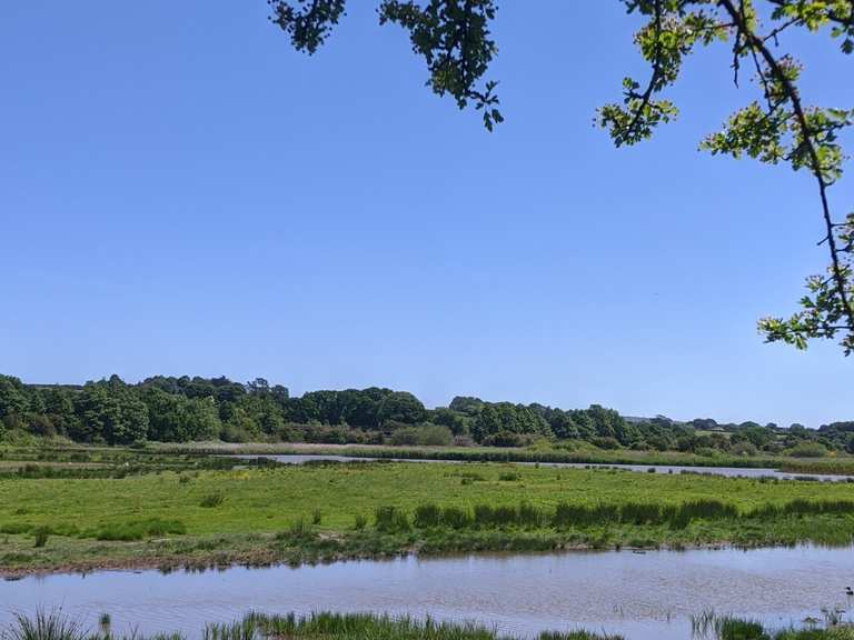 Exe Estuary Cycle Path - Cycle Routes and Map | Komoot