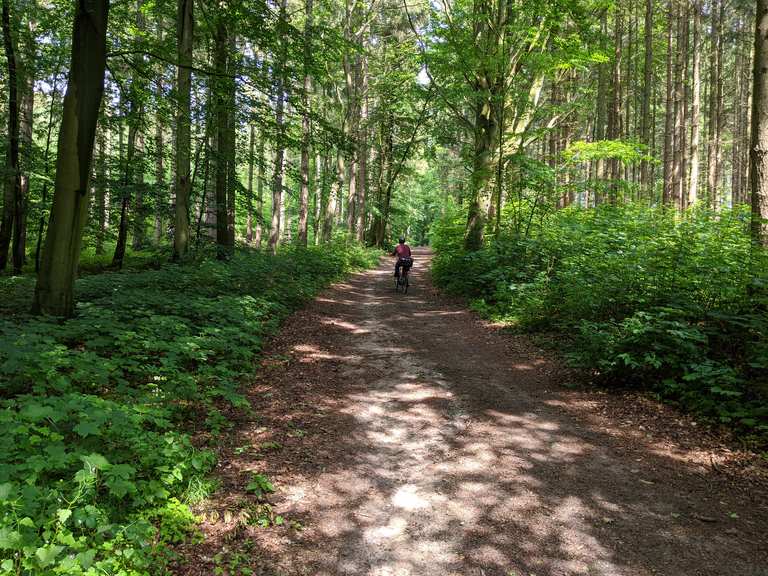 Piste cyclable en forêt - Itinéraires vélo et carte | Komoot