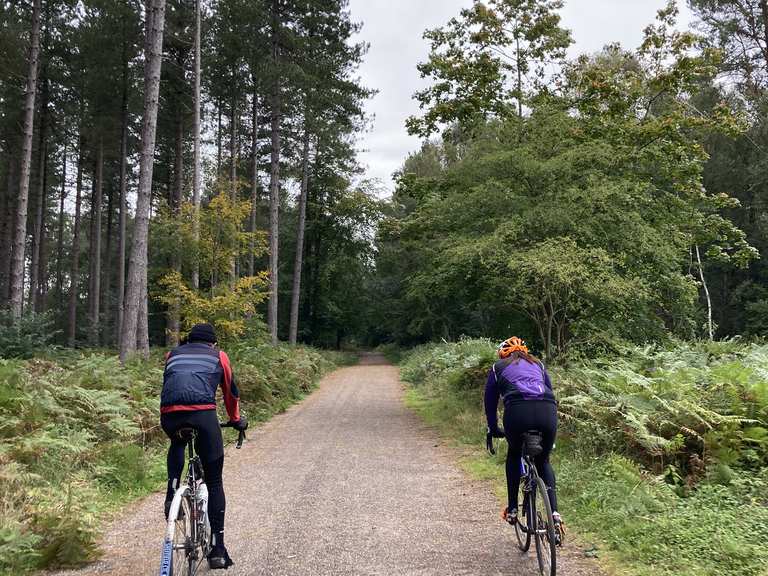 Clumber Park – Sherwood Forest loop from Worksop | bike Tour | Komoot