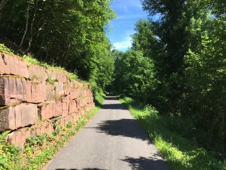 Tauber-Radweg (Liebliches Taubertal) : Radtouren und Radwege | komoot
