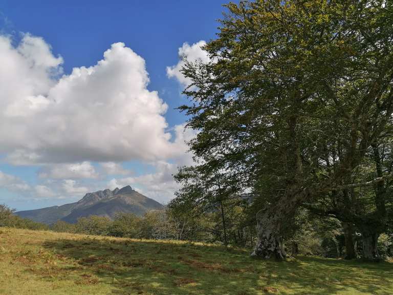Randonnée circulaire de Munagirre à Kauso - tourner autour du Cromlech ...
