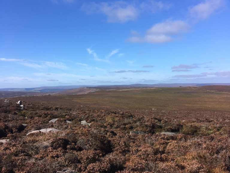 White Path Moss Routes for Walking and Hiking | Komoot