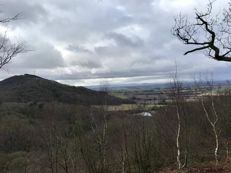 Ercall Hill & Woods Routes for Walking and Hiking | Komoot