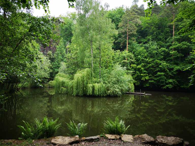 Eichensee: Wanderungen und Rundwege | komoot