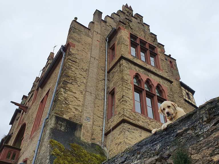 Schloss Kransberg Routes for Walking and Hiking | Komoot