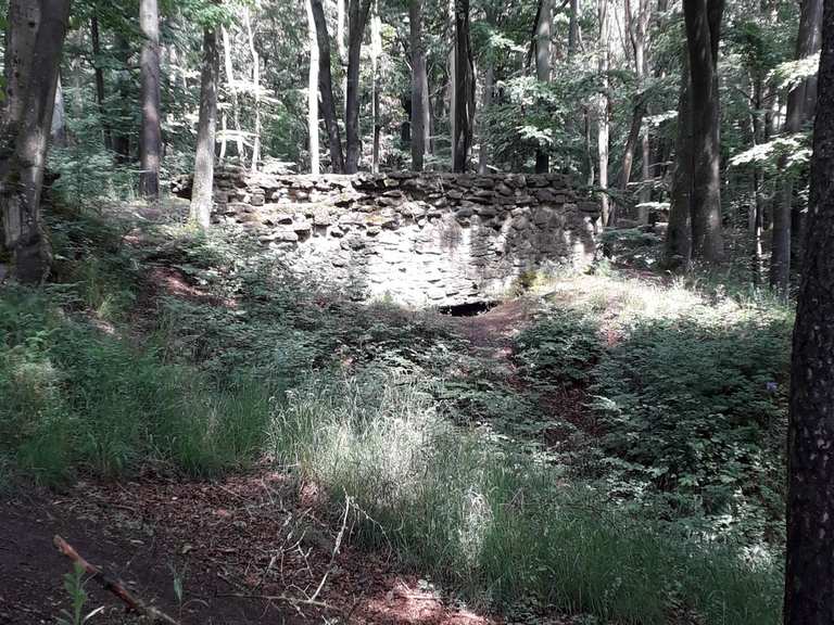 Burgruine Schauerberg - Mountain Bike Trails & Tracks | Komoot