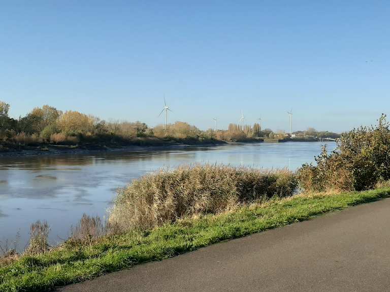 Beautiful view on the Rupel - wiellerroutes en kaart | Komoot