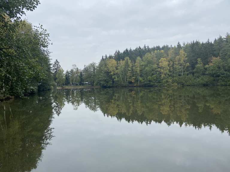 Waldsee Argenthal - kleiner Rundweg Routes for Walking and Hiking | Komoot