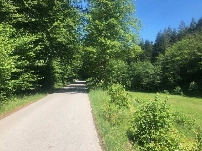 Eyachtal / entlang der Eyach: Rennradfahren und Rennradtouren | komoot