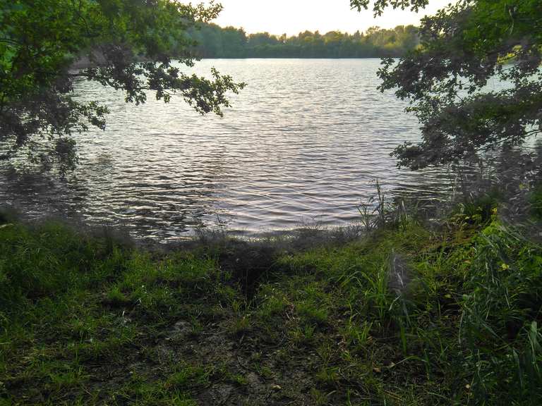 Sunder Seen mit Seerosen und kapitalen Karpfen : Radtouren und Radwege ...