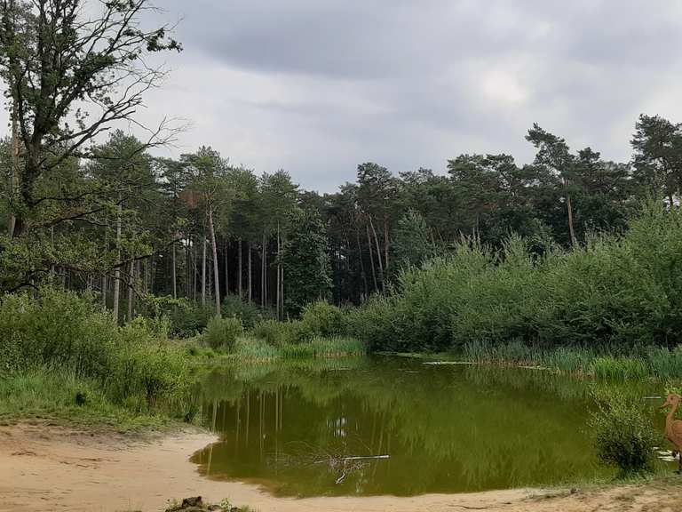 Paden Hertberg – Rode Vis Rondje vanuit Bergom | wandeling | Komoot