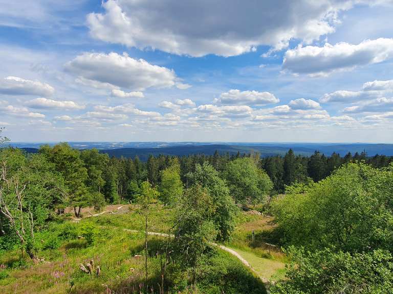 Erbeskopf (höchster Punkt von Rheinland-Pfalz): Wanderungen und ...