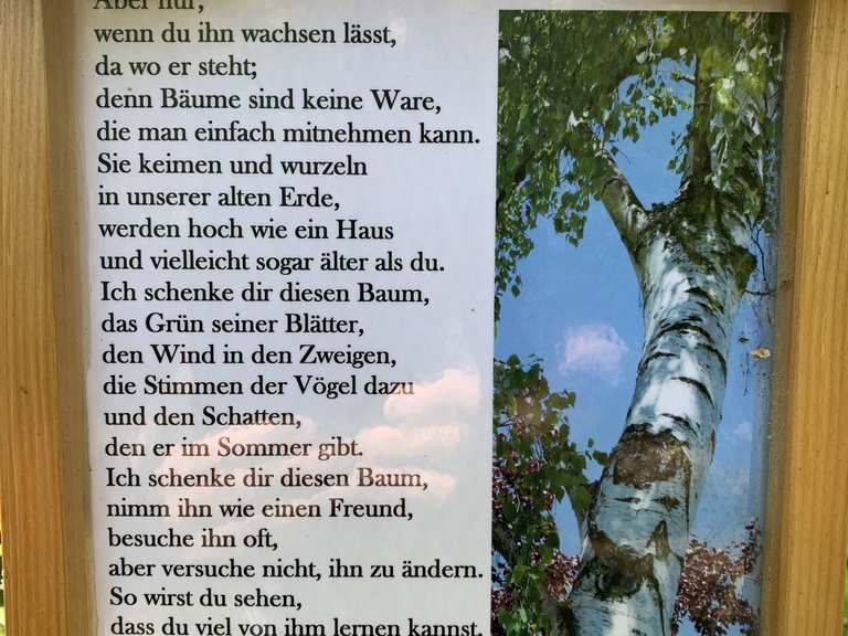 Gedicht Spaziergang Im Wald