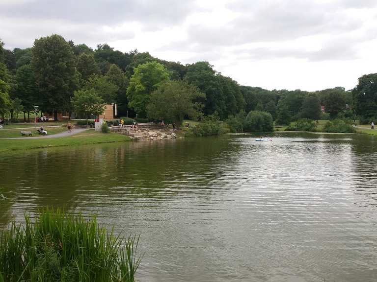 Elsenz See: Mountainbike-Touren und -Trails | komoot