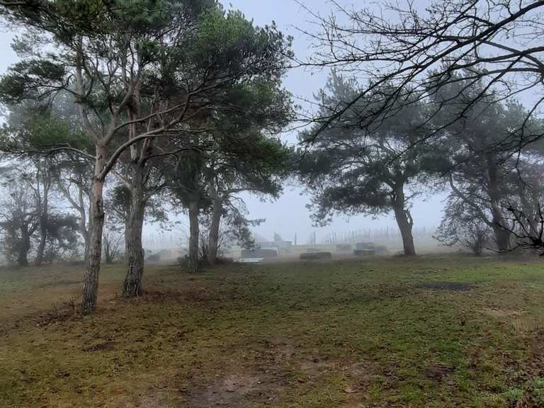Steinskulpturen auf dem Bosenberg: Wanderungen und Rundwege | komoot