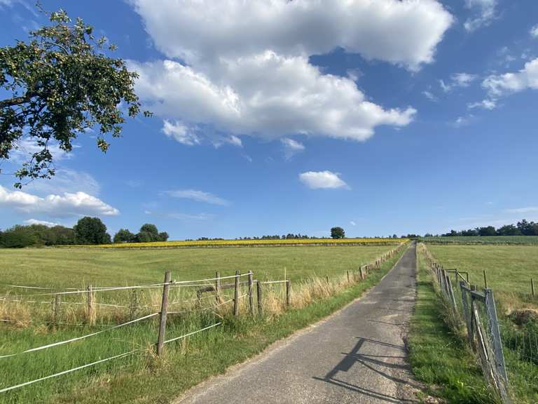 Wildgehege Eidengesäß – Lamagehege Runde von Waldrode | Wanderung | Komoot