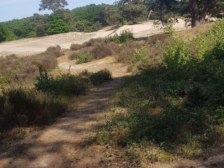 Soesterduinen fietsroutes en kaart | Komoot