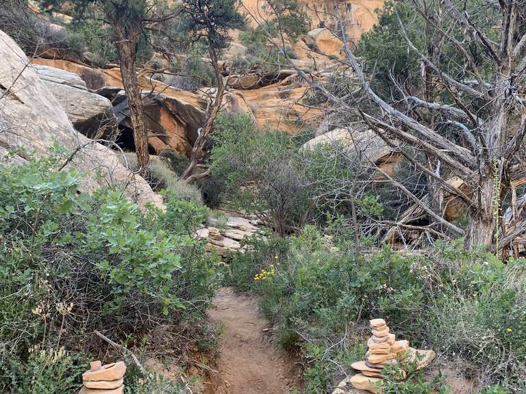 Druid Arch, Needles District — Canyonlands National Park Du sammelst ...