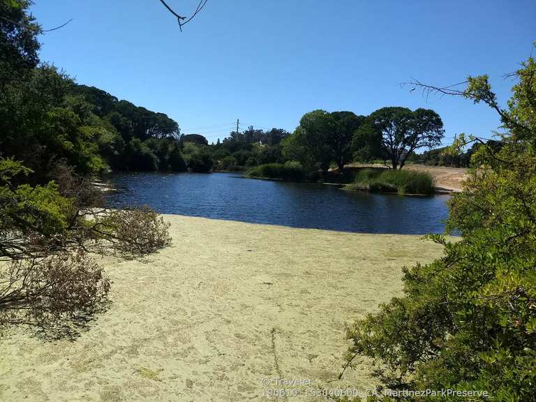 Martinez Park Reserve 🌳, Hidden Lake: Wanderungen und Rundwege | komoot