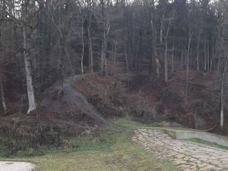 Stone Pathway Trail – Routes & How to Get There | Komoot