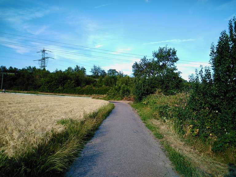 Radweg an der Bahnlinie: Radtouren und Radwege | komoot