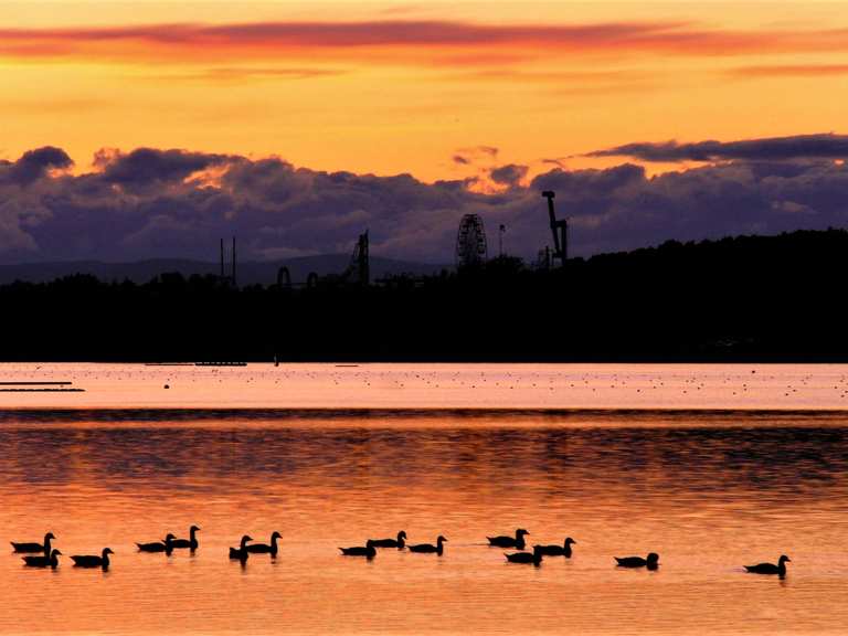 Strathclyde Country Park - Mountain Bike Trails & Tracks | Komoot