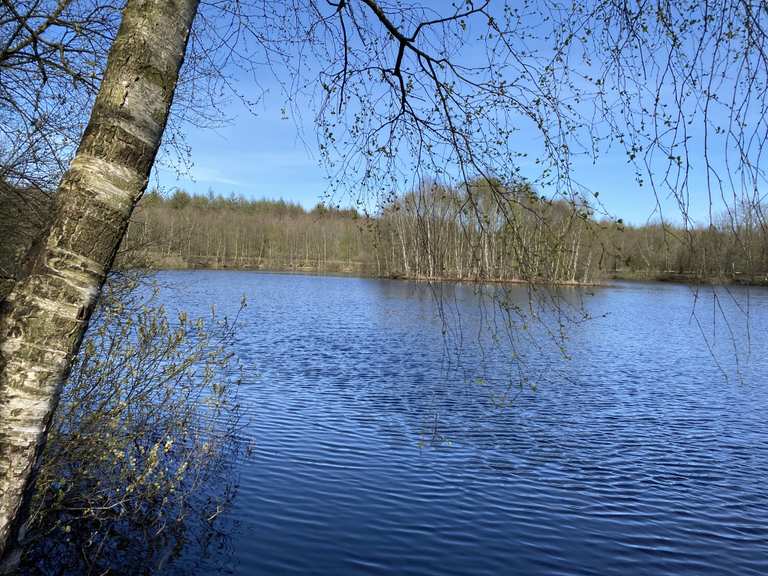 Königskeil See : Radtouren und Radwege | komoot