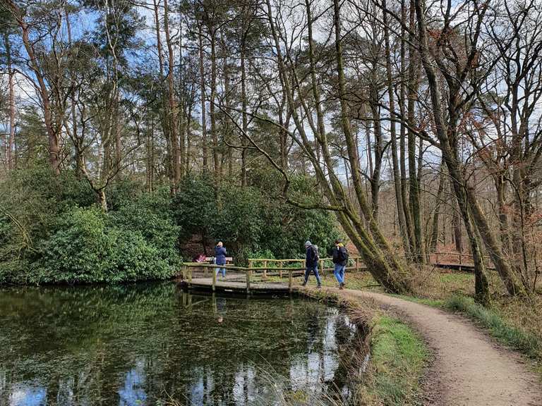 De Bronnen in het Springendal: Wanderungen und Rundwege | komoot