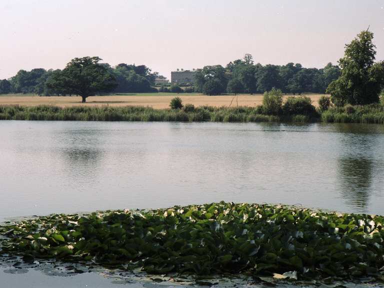 Bletchingdon Park from Bicester – River Cherwell wild swimming loop ...