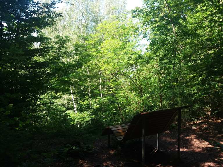 Dudweiler Elefant – Brennender Berg Runde von Sulzbach (Saar ...